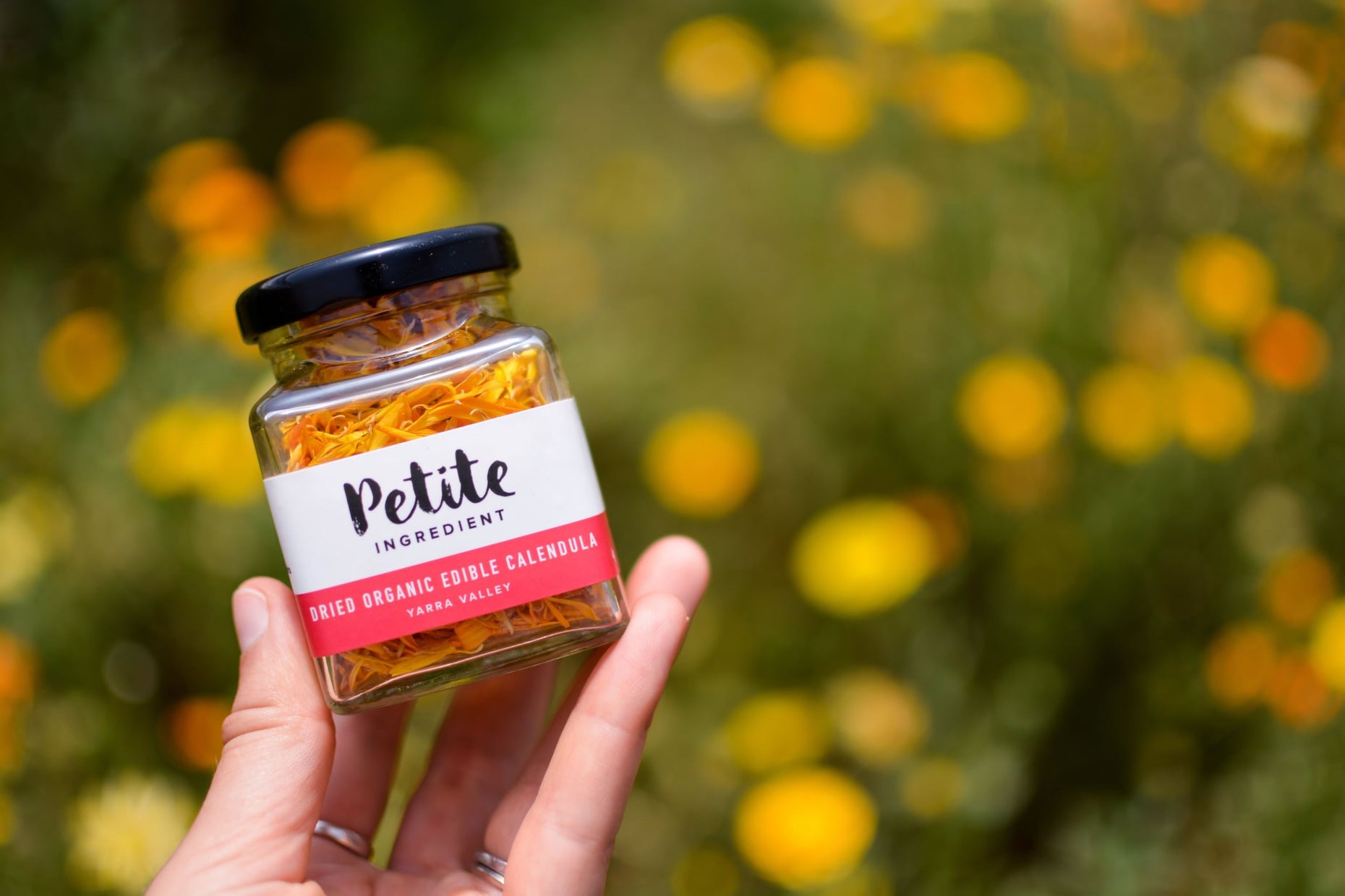 Buy Bulk Dried Edible Confetti | Year-round Wholesale Supply for ...