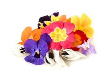 Petite Ingredient, growers of edible flowers